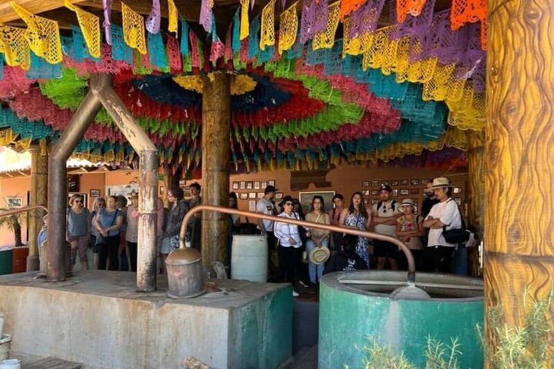 Oaxaca: Tule Tree, Teotitlán, Mitla and Hierve el Agua Tour - FAQs
