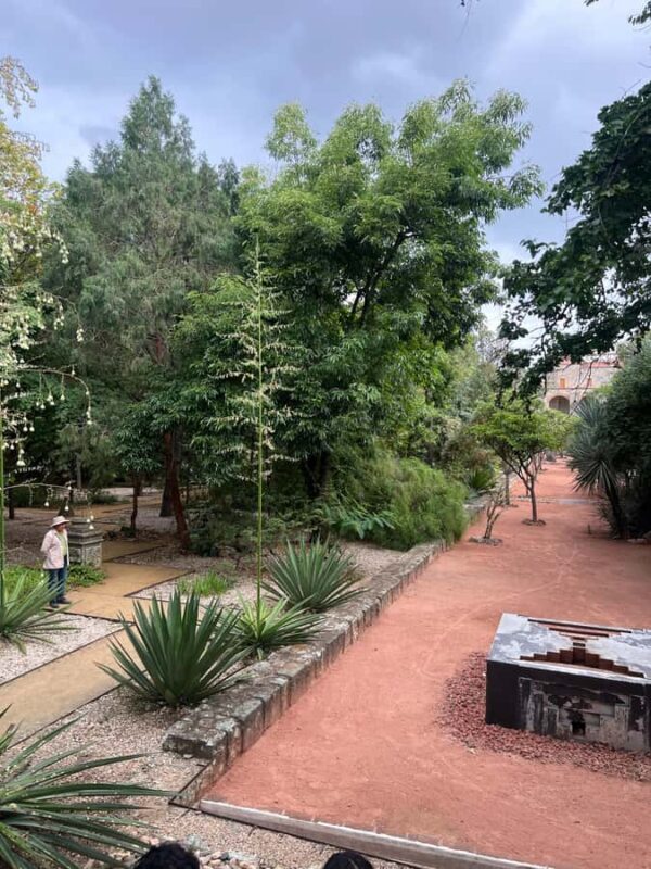 Oaxaca Walking Tour - FAQs