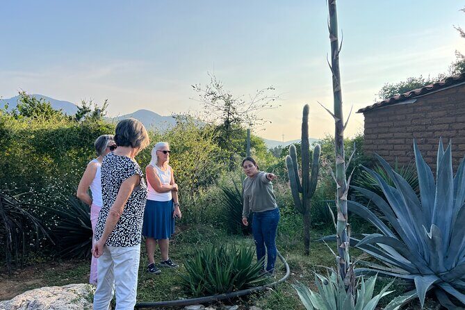 Oaxaca Women Private Tour - FAQ
