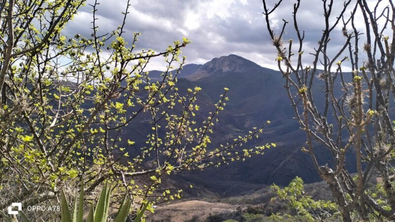 Oaxaca: Xaaga-Hierve el Agua 1 Day Hiking Tour - FAQ