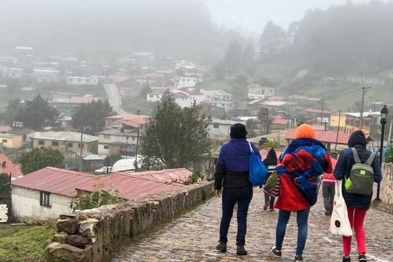 Oaxaca: Zipline, Nature Walk and Gastronomy Tour - The Sum Up