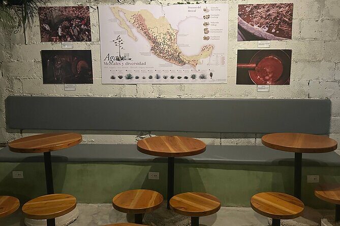 Oaxacan Artisan Mezcal Tasting in Valladolid - Who Should Consider This Tour?