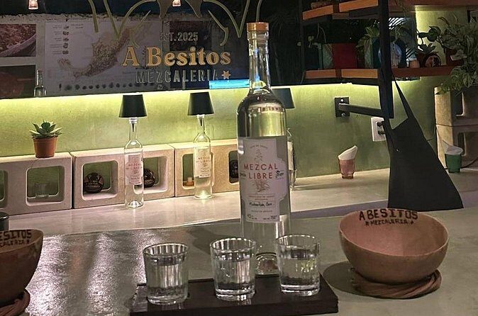 Oaxacan Artisan Mezcal Tasting in Valladolid - The Sum Up