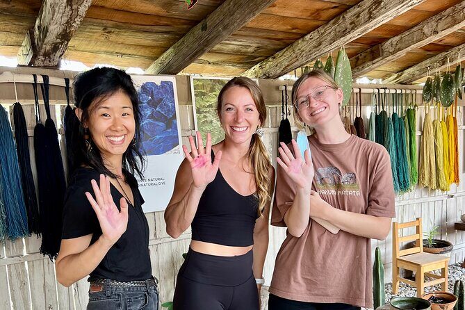 Oaxacan Journey - Step 4: The Tule Tree – A Living Legend