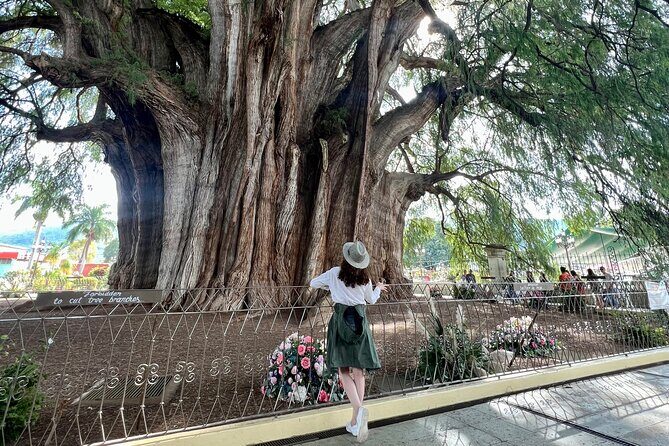 Oaxacan Journey - Final Thoughts