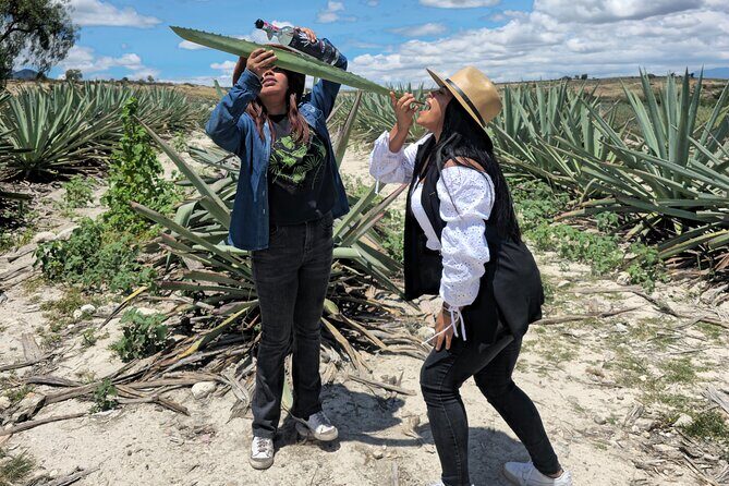 Oaxacan Mezcal Tour - Who Should Consider This Tour