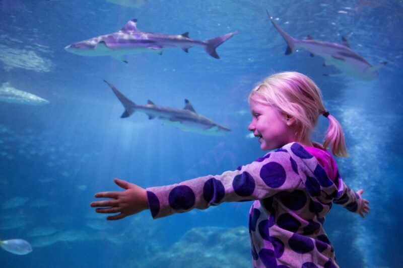 Oberhausen: LEGOLAND Discovery Centre and SEA LIFE Ticket - The Sum Up
