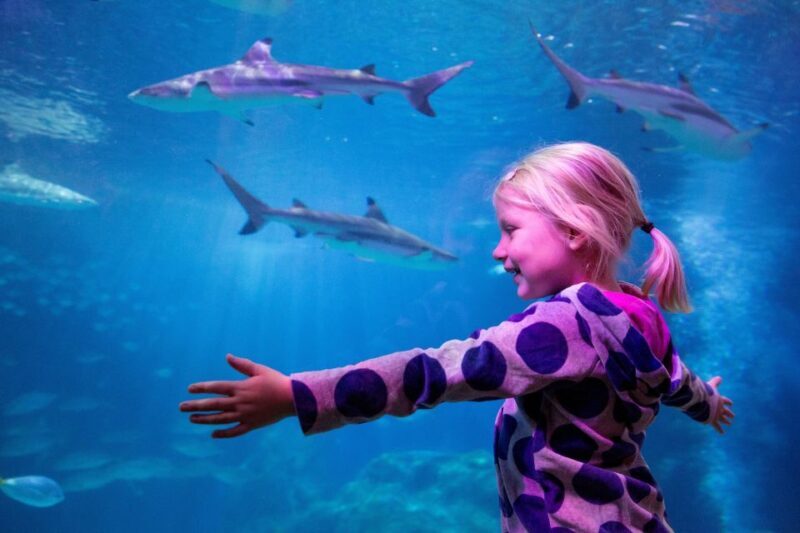 Oberhausen: SEA LIFE Oberhausen Entry Ticket - Key Points