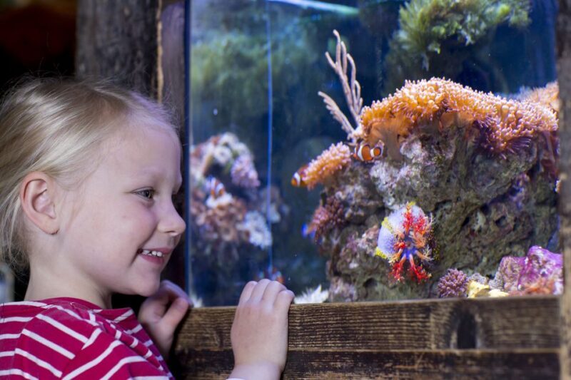 Oberhausen: SEA LIFE Oberhausen Entry Ticket - Additional Costs and Considerations