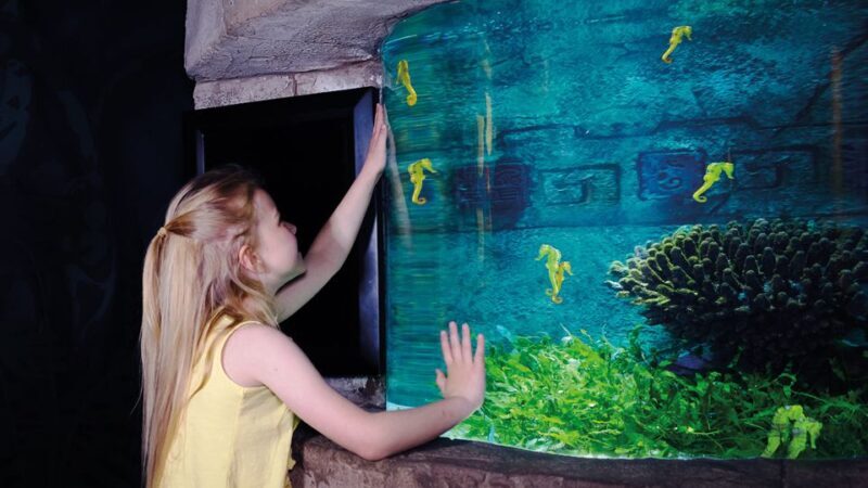 Oberhausen: SEA LIFE Oberhausen Entry Ticket - Final Thoughts