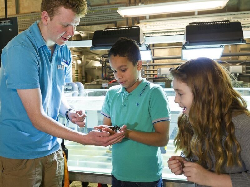 Oberhausen: SEA LIFE Ticket and Behind the Scenes Tour - Value for Money and Practical Tips