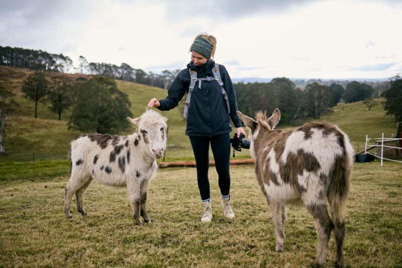 Oberon: Kenzell Farm Tour  A Hands-On Animal Adventure! - Key Points