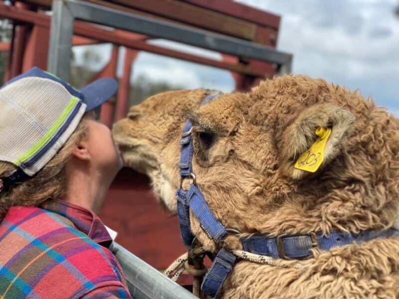 Oberon: Kenzell Farm Tour  A Hands-On Animal Adventure! - A Closer Look at the Kenzell Farm Tour