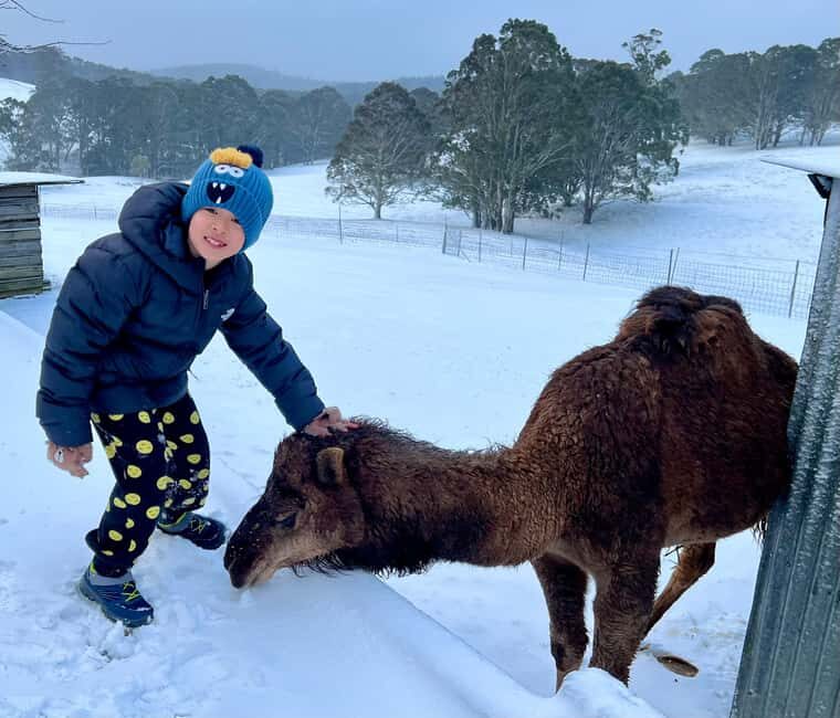 Oberon: Kenzell Farm Tour  A Hands-On Animal Adventure! - FAQ