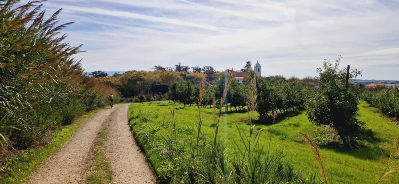 Óbidos: E-Bike Tour to Quinta do Gradil with Wine Tasting - The Experience in Detail