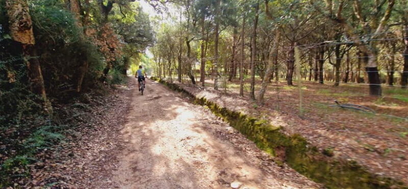 Óbidos: E-Bike Tour to Quinta do Gradil with Wine Tasting - Final Thoughts