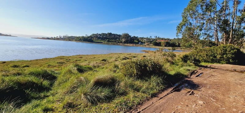 Óbidos to Peniche: Explore the Atlantic Coast E-bike Tour - An In-Depth Look at the Waterside Adventure