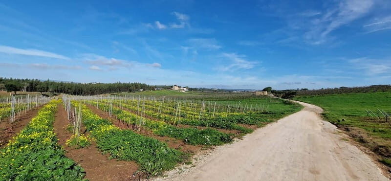 Óbidos to Peniche: Explore the Atlantic Coast E-bike Tour - The Sum Up: Is This Tour Worth It?