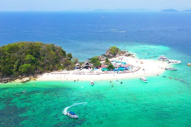 Observing Elephant Nature (NO RIDING NO BATHING) - The Sum Up