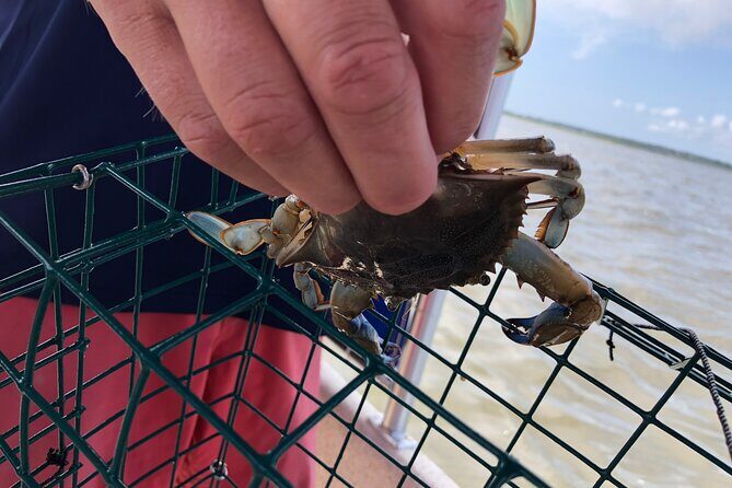 OC Bay Hopper Crabbing - Key Points