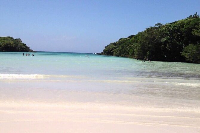 Occidental Grand Punta Cana - Round Trip Shuttle - Punta Cana Airport - Detailed Review of the Shuttle Experience