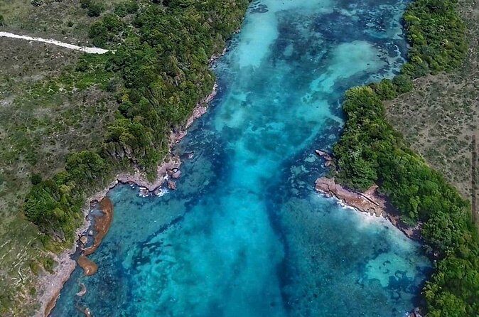 Occidental Grand Punta Cana - Round Trip Shuttle - Punta Cana Airport - FAQ