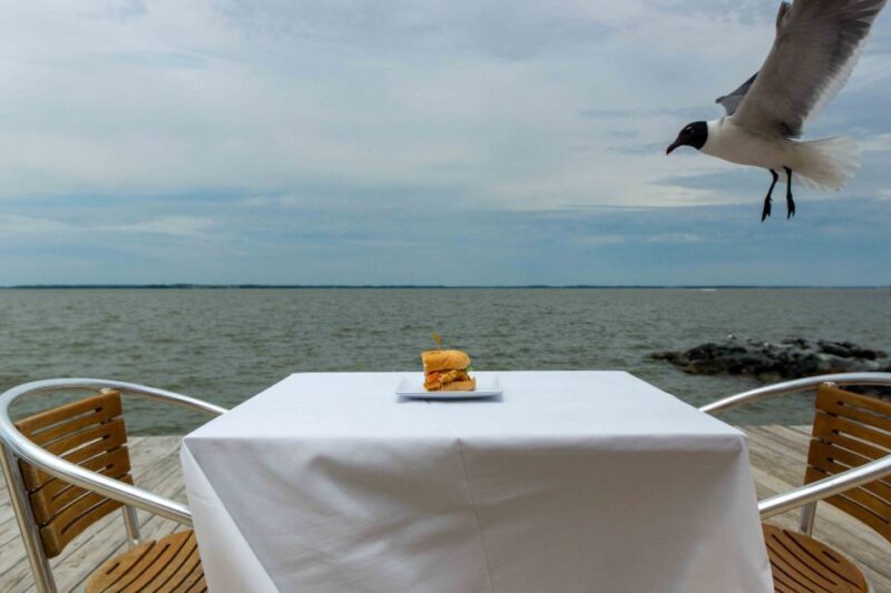 Ocean City: Bay Hopping Food Boat Tour with Tastings - Drinks and Desserts: Complimenting the Food