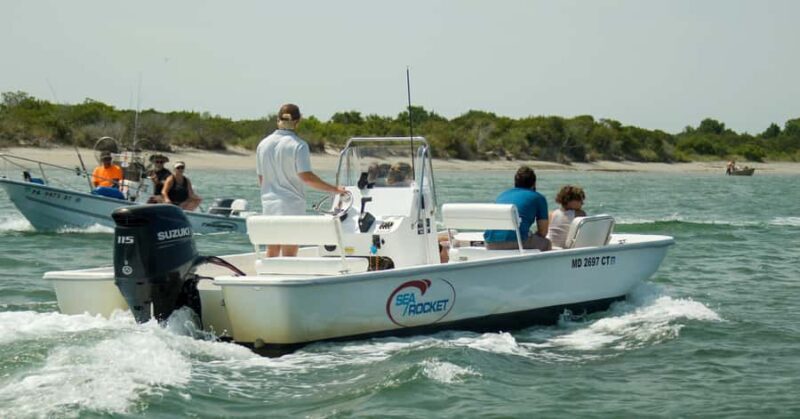 Ocean City: Private Party Assateague Island Cruise - An In-Depth Look at the Assateague Island Cruise
