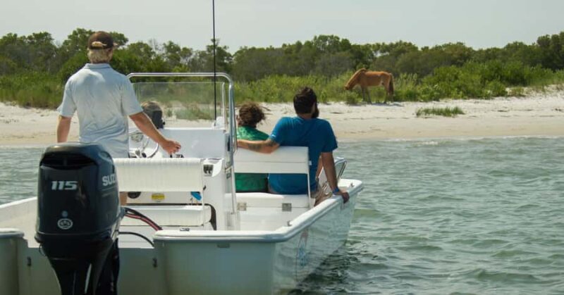 Ocean City: Private Party Assateague Island Cruise - Final Thoughts: Is This Experience Worth It?