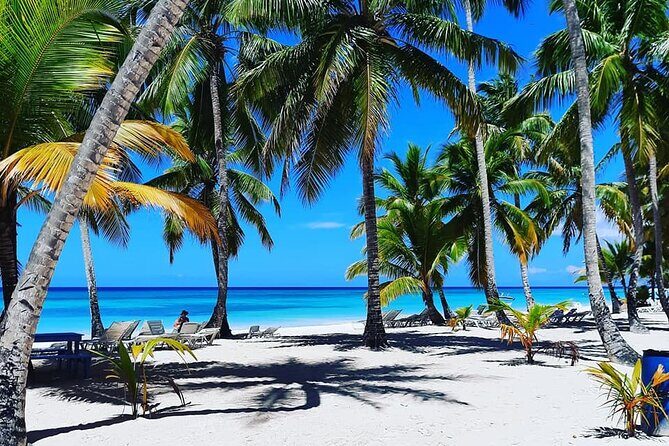 Ocean El Faro Resort - Round Trip Shuttle - Punta Cana Airport - Everything You Need to Know About the Ocean El Faro Shuttle