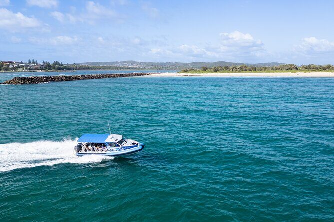 Ocean Explorer Tour from Lake Macquarie - Introduction: Is the Ocean Explorer Tour Right for You?