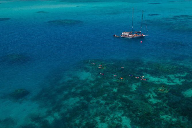 Ocean Free 25 guest Great Barrier Reef & visit Green Island Tour - Detailed Review of the Ocean Free Tour Experience