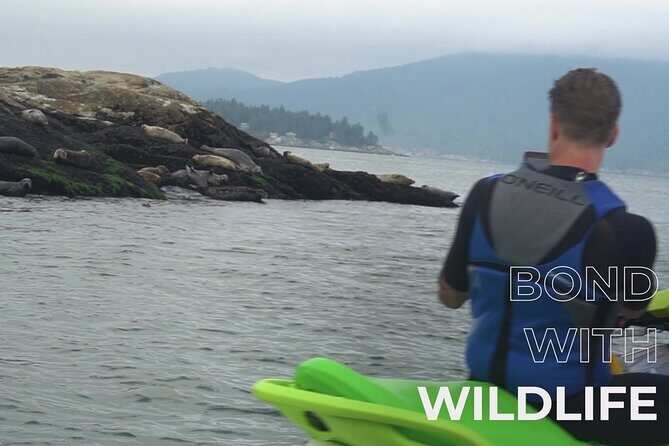 Ocean is Yours Seadoo Experience from Vancouver - The Reviews Speak for Themselves