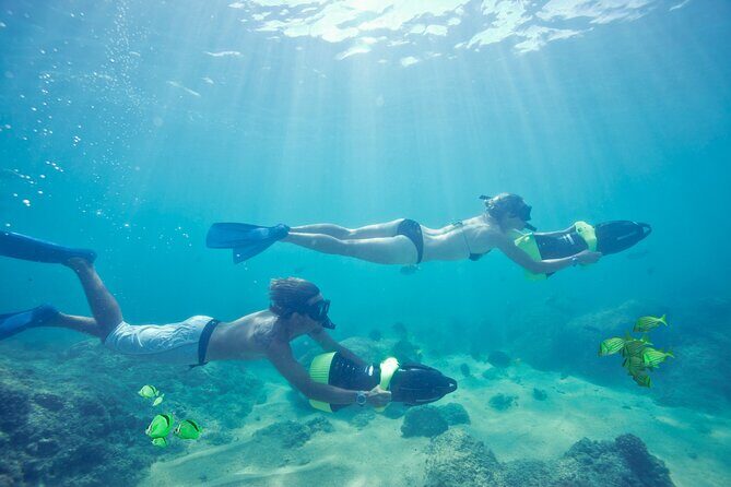 Ocean Mania & water park experience in Puerto Vallarta - Detailed Breakdown of the Itinerary