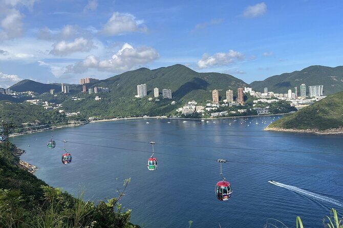 Ocean Park Full-Day Coach Tour with Hotel Pickup in Kowloon Area from Hong Kong - An In-Depth Look at the Tour Experience