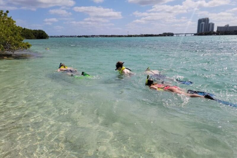 Ocean Reef Snorkeling and Paddleboarding - Authentic Experiences Based on Reviews