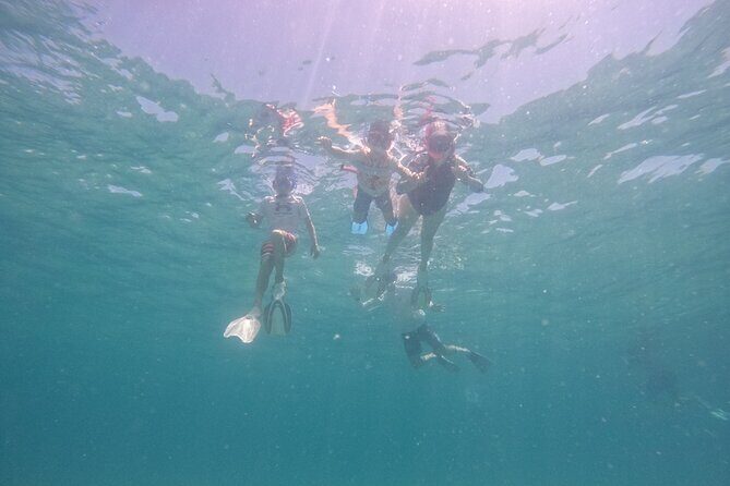 Ocean Ridge Snorkeling and Freediving Activity - The Sum Up