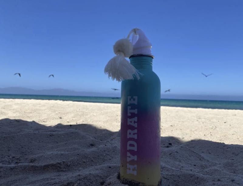 Ocean Safari in La Ventana BCS - FAQ