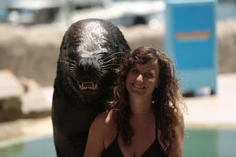 Ocean World Dolphin Swim & Sea Lion Combo from Puerto Plata - Transportation, Timing, and Group Size