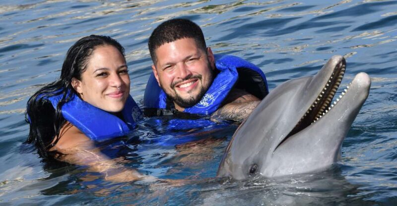 Ocean World Dolphin Swim & Sea Lion Combo from Puerto Plata - Who Will Love This Tour?