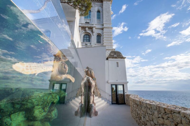 Oceanographic Museum of Monaco Ticket - A Thoughtful Journey Through Marine Diversity