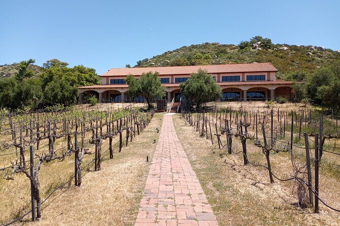 Oceanside, Auto Museum & Winery Tour & Tasting - Practical Tips for Potential Participants