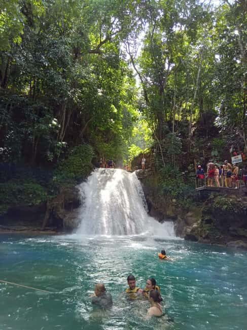 Ocho Rios: Blue Hole Adventure - Who Is This Tour Best For?