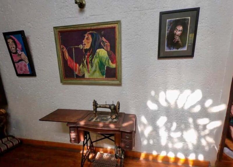 Ocho Rios: Blue Hole & Bob Marley Museum Tour - Who Will Love This Tour?