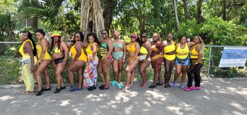 Ocho Rios: Blue Hole, Dunn's River Falls, and Jerk Lunch - Exploring the Itinerary: What You Can Expect