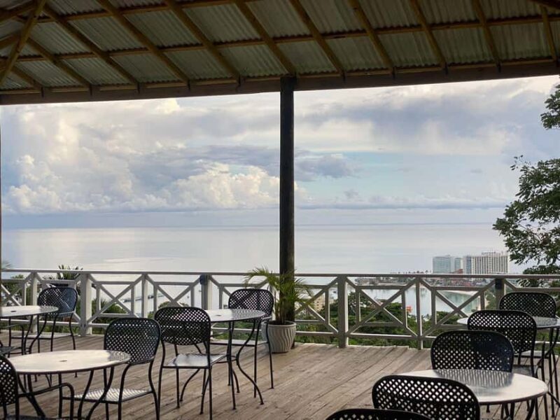 Ocho Rios: Countryside Sightseeing and taste of Jamaica - Mingle at the Farmer’s Market