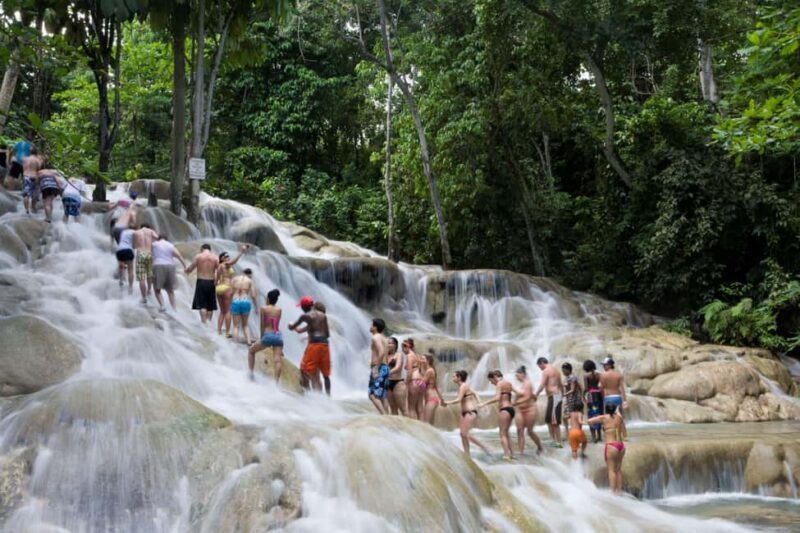 Ocho Rios: Dunns River Falls & Reggae Hill Tour - Key Points