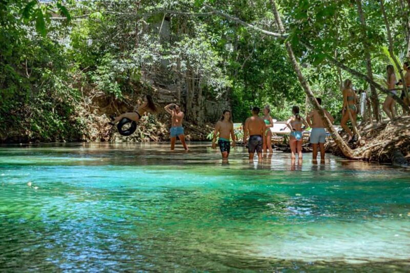 Ocho Rios: Dunns River Falls & Reggae Hill Tour - The Itinerary: What to Expect