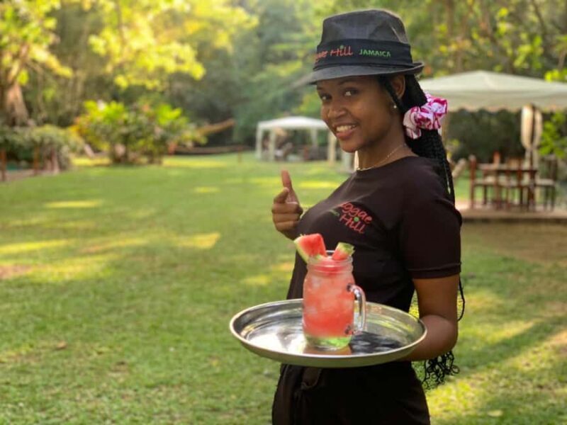 Ocho Rios: Dunns River Falls & Reggae Hill Tour - Reviews and Real-World Insights