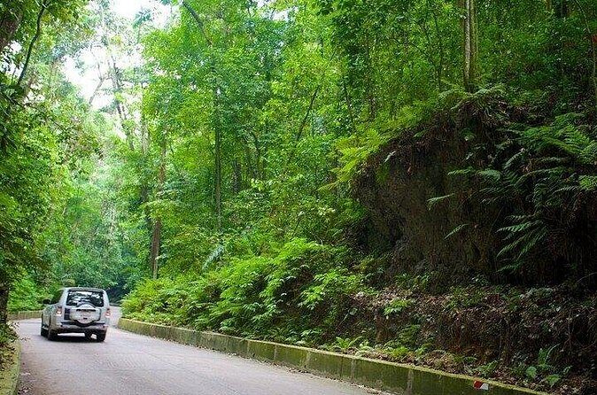 Ocho Rios Highlights and Shopping Tour - Frequently Asked Questions